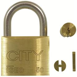 Iseo Locks & Keys, Iseo Cylinder Door Locks – LockShop Direct