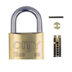 Iseo Locks & Keys, Iseo Cylinder Door Locks – LockShop Direct
